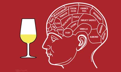 proefformulier | Bottle Case